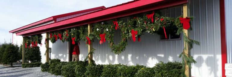 Clark's Christmas Tree Farm and Christmas Shop – Celebrate the holidays ...