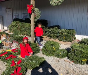Clark's Christmas Tree Farm and Christmas Shop – Celebrate the holidays ...