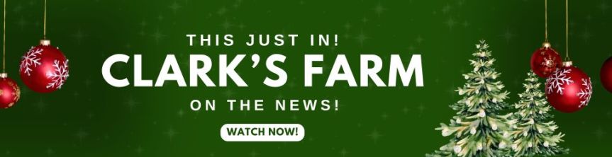 Clark's Christmas Tree Farm and Christmas Shop – Celebrate the holidays ...