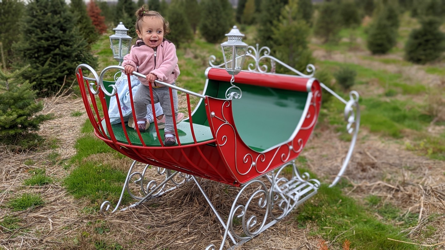 Clark's Christmas Tree Farm and Christmas Shop