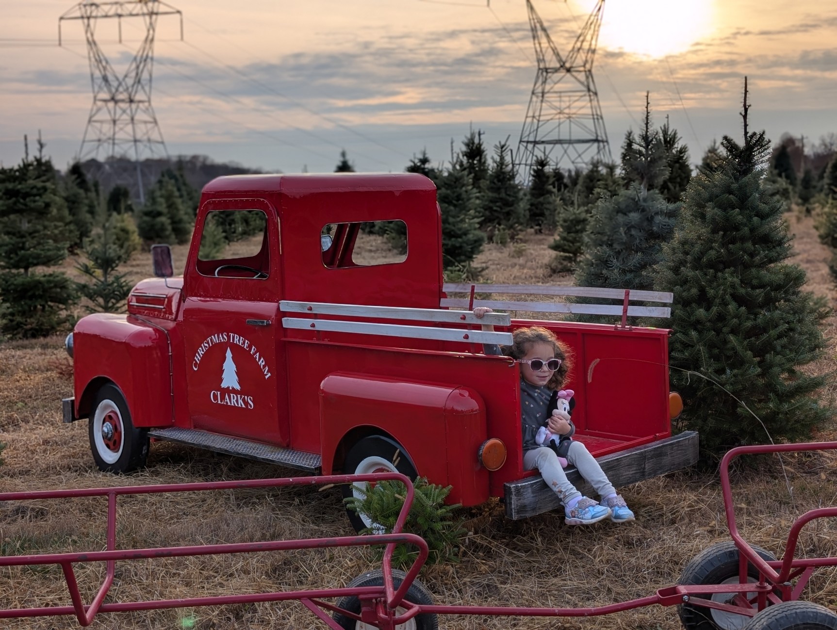 Clark's Christmas Tree Farm and Christmas Shop